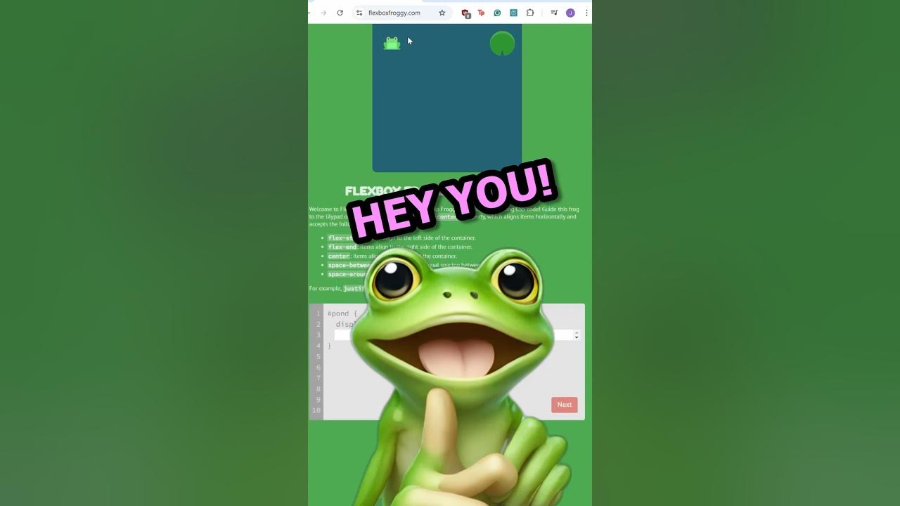 Do You Want To Master Css Flexbox While Having Fun Flexbox Css Cssflexbox Cssgrid Youtube