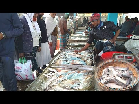 Howrah_Fish_Market_New_Video 2024 | Find Out The Price Of Fish Today ...