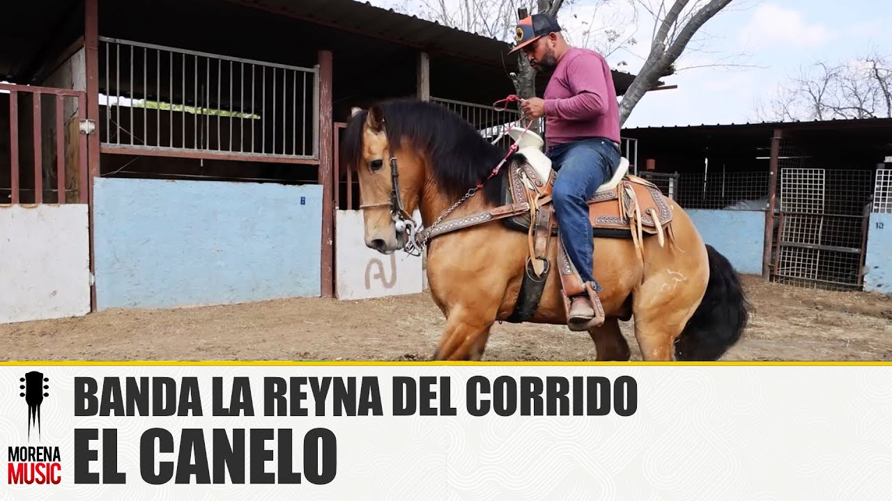 Banda La Reyna del Corrido - El Canelo [ Video Oficial ] Morena Music ...