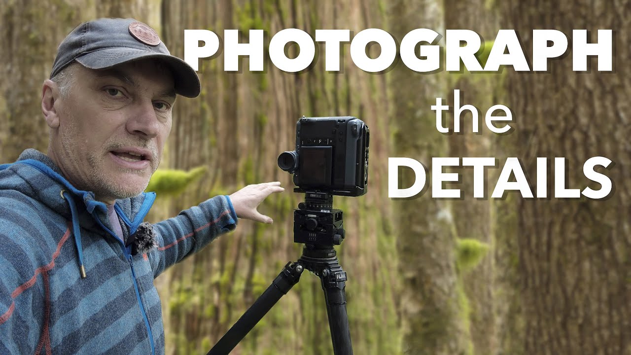 How to OBSERVE and PHOTOGRAPH details in NATURE - YouTube