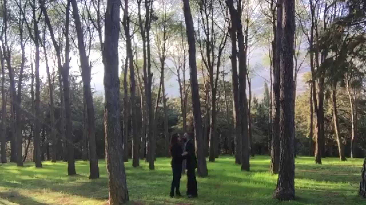 Perfect Marriage proposal !!! - YouTube