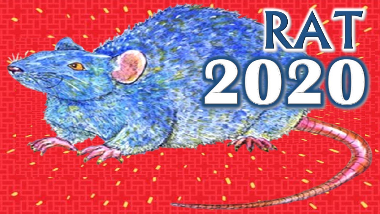 Rat Horoscope 2020 | Born 1936, 1948, 1960, 1972, 1984, 1996, 2008 ...