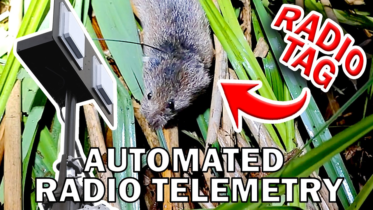 Fully Automated Wildlife Radio Telemetry - YouTube