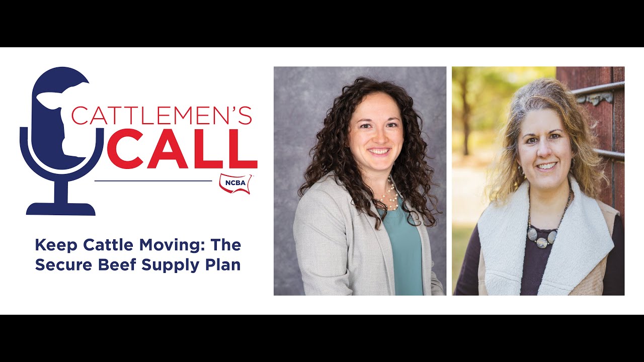 Keep Cattle Moving: The Secure Beef Supply Plan - YouTube