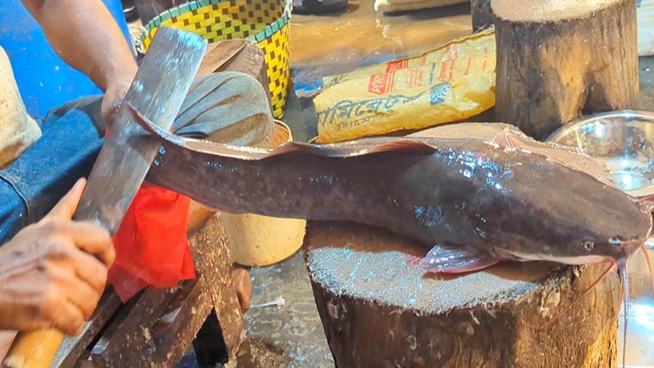 Amazing Big Magur Fish Cutting By Expert Fish Cutter | Catfish Cutting ...