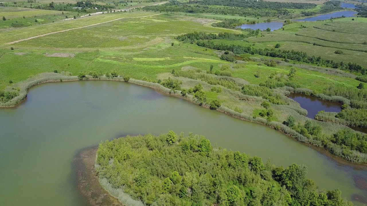 Bluegrass Wildlife. Evansville, IN. Unedited in 4k - YouTube