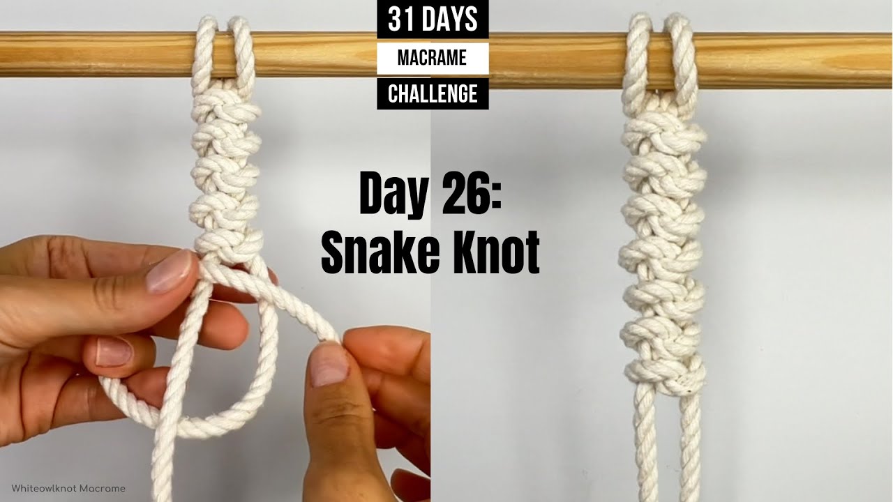 Day 26 of Macrame Challenge for beginners: Snake Knot / Macrame Braid ...
