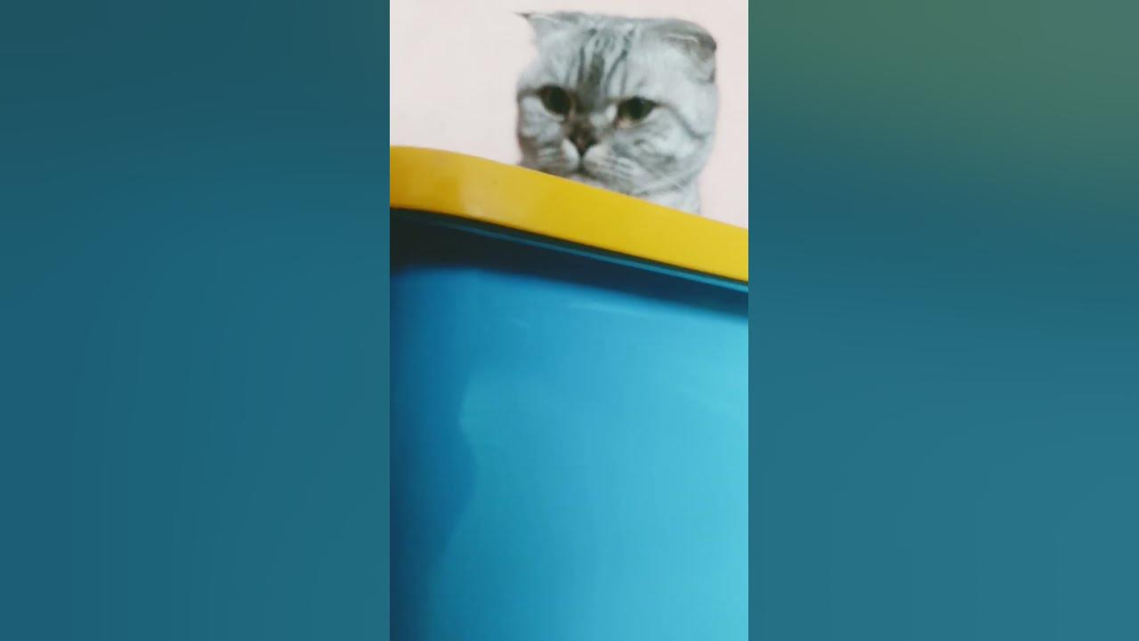 кощка - YouTube