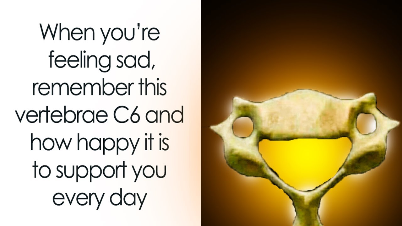 Witty And Funny Memes To Make Your Inner Science Nerd Happy - YouTube