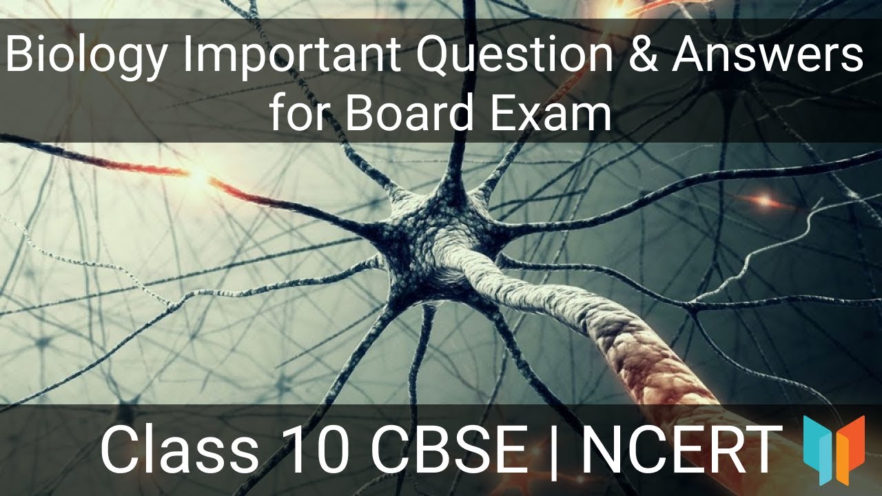 Important Questions Of Biology With Answers For Board Exam NCERT important-questions-of-biology-with-answers-for-board-exam-ncert