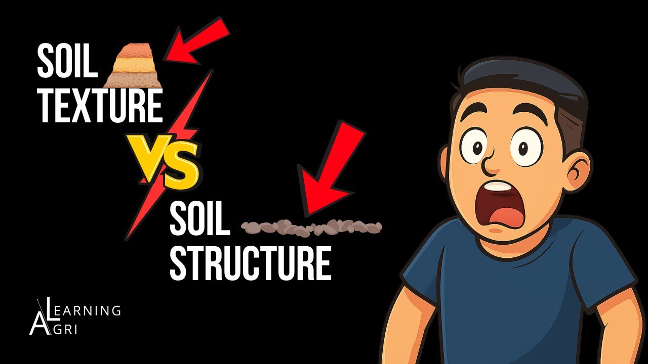 36 Minutes to Master Soil Texture & Structure (LEA Must-Know!) - YouTube