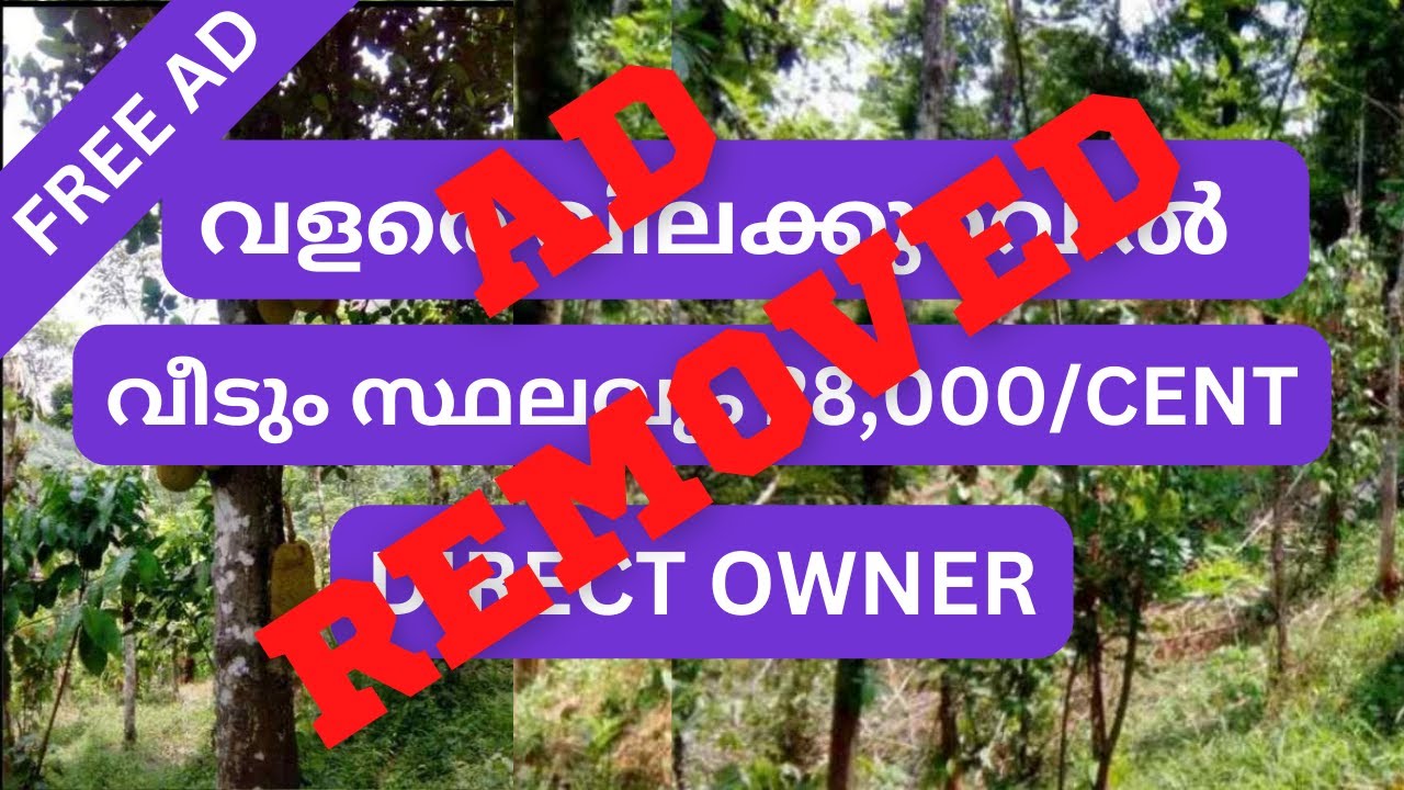 AD REMOVED Land For Sale Idukki New House For ad-removed-land-for-sale-idukki-new-house-for