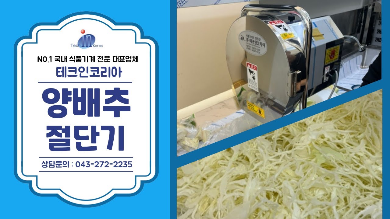 양배추 슬라이스 절단기 샐러드용 양배추 채써는 기계 🥗 테크인코리아 Youtube