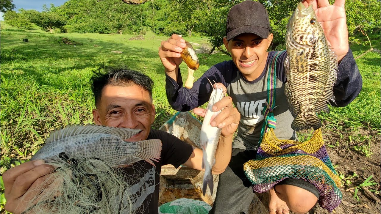 Pesca de guapotes y tilapias con trasmallo, rio titihuapa - YouTube