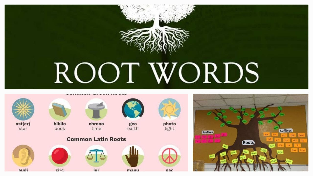 ROOT WORDS PART 4 gamy marriage VOCABULARY DEVELOPMENT For CUET SSC root-words-part-4-gamy-marriage-vocabulary-development-for-cuet-ssc