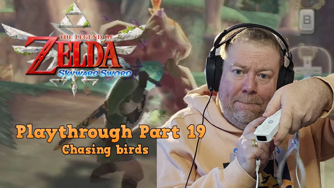 Chasing birds | Legend of Zelda Skyward Sword | Nintendo Wii ...