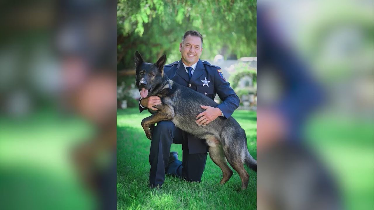 Dax, beloved Lake County Sheriff K9, honored with retirement ceremony ...