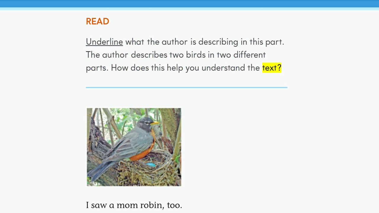 HMH ED Read Aloud | Bird News - 1st grade - YouTube