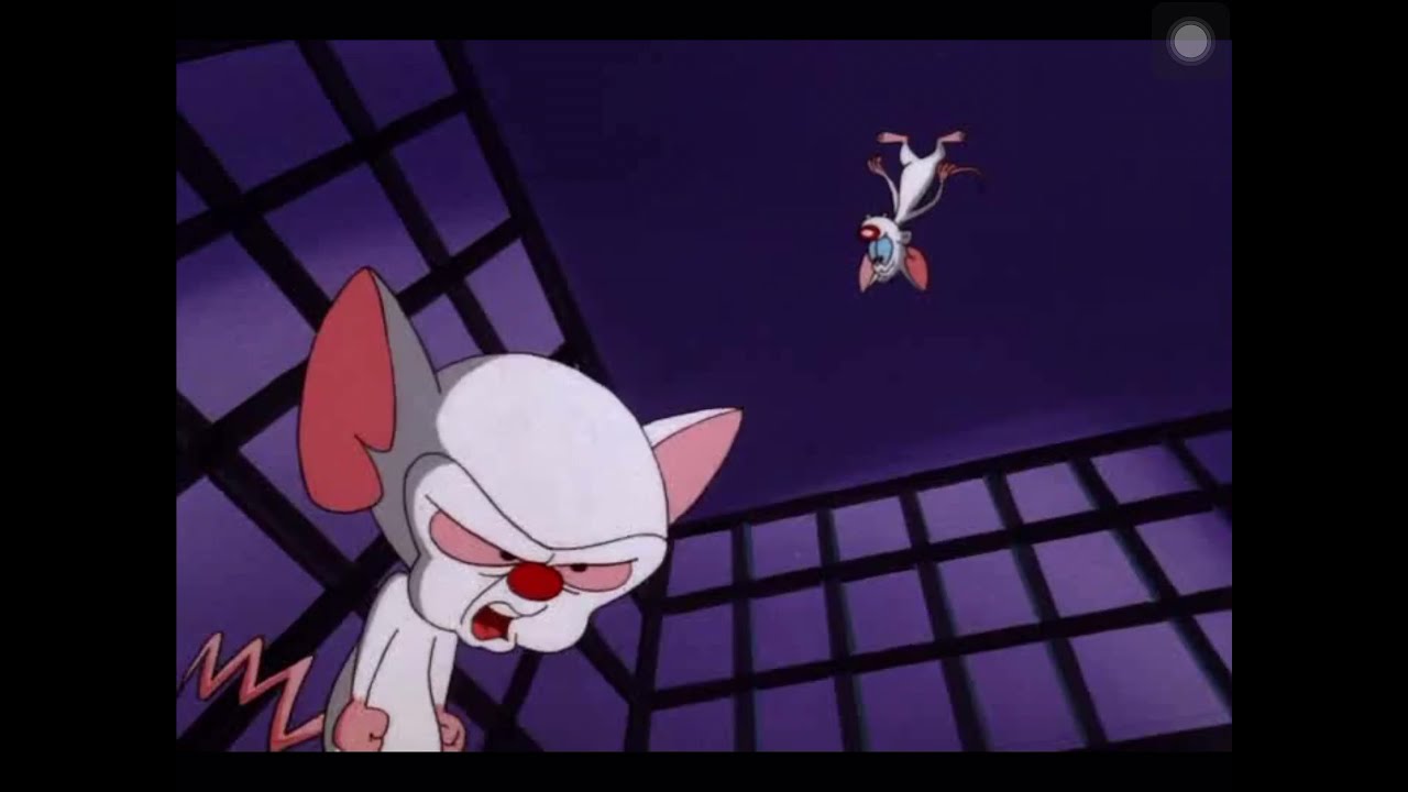 Pinky And The Brain Narf
