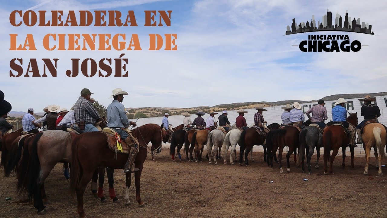 Coleadera en la Ciénega de San José 🐎🐂 - YouTube