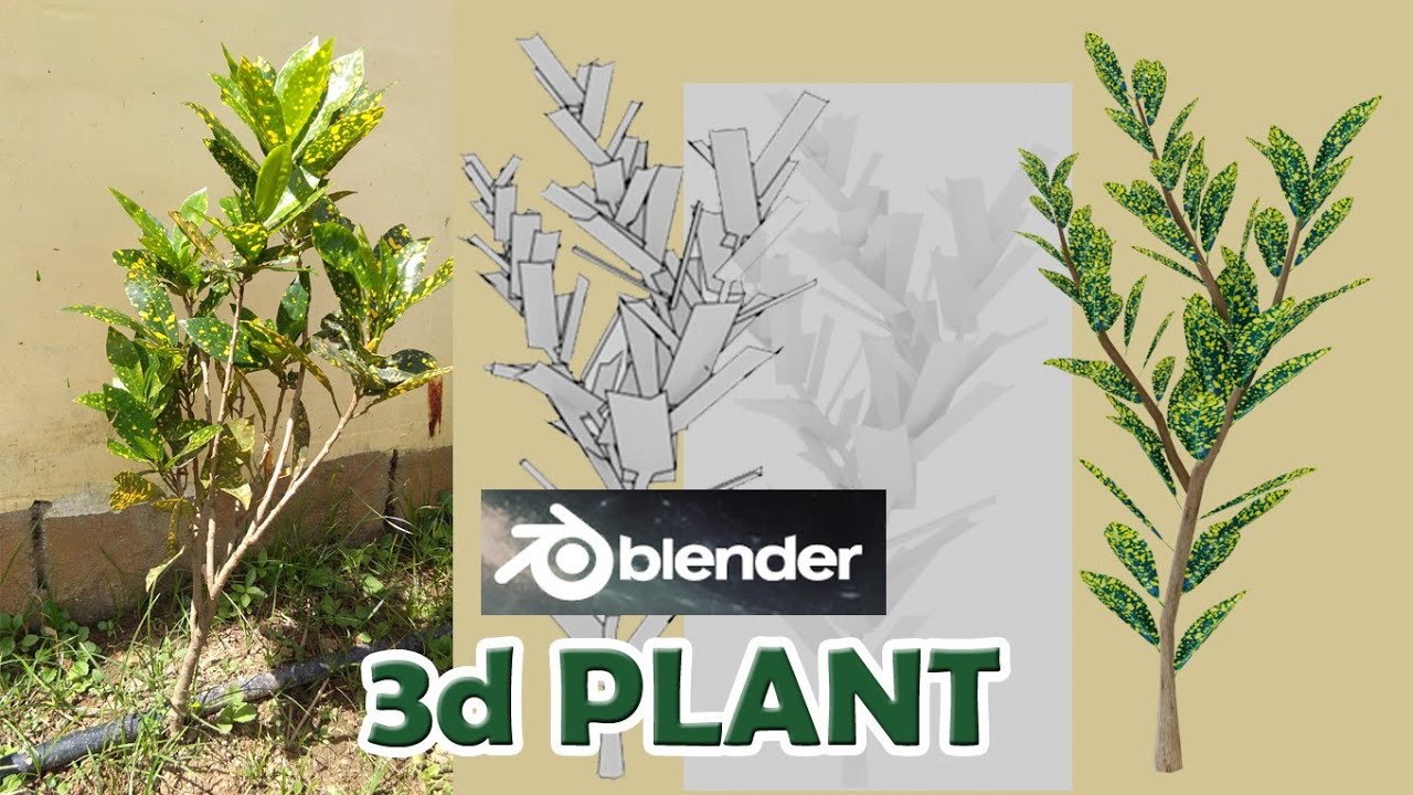 HOW TO CREATE A 3D ORNAMENTAL PLANT IN BLENDER 2.80 FOR BEGINNERS - YouTube