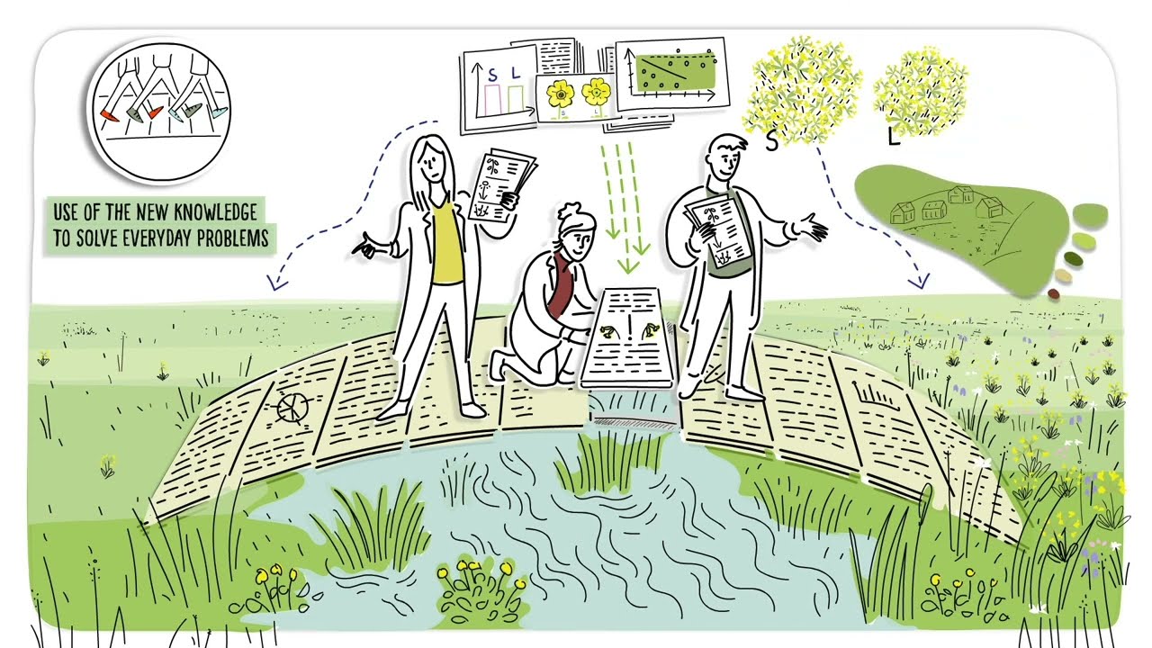 Scientific Research from Start to Finish - YouTube