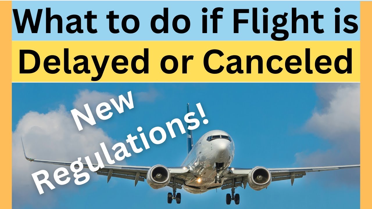 What to do if Flight is Canceled or Delayed: New Dept. of ...