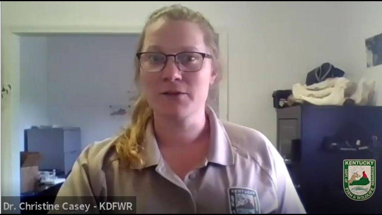 Dr. Christine Casey - July 2, 2021 update about unexplained bird ...