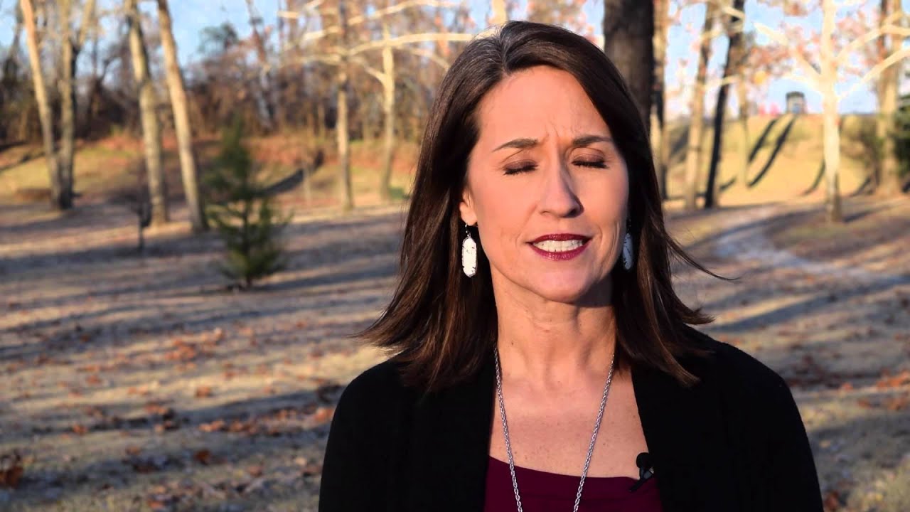 Lisa Kramer for Senate - YouTube