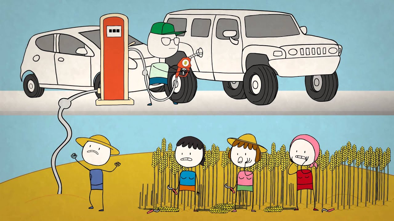 Food versus Fuel - YouTube