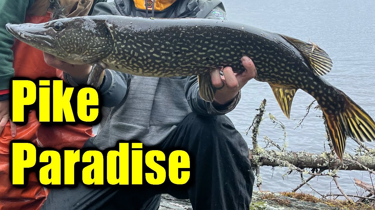 Pike Fishing Paradise - Canadian Back Country Adventure - YouTube