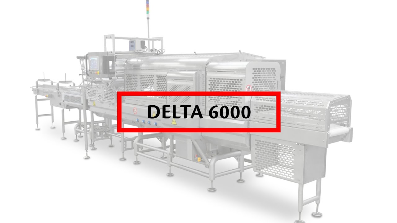 IMA Ilapak Delta 6000 HFFS flow wrapping machine for ready meals in MAP ...