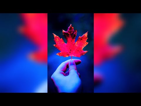 Love Feeling💘Romantic💘 Sharechat status  || Share chat