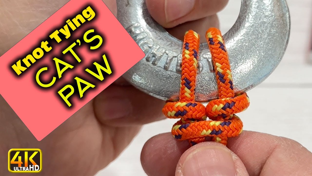 How to Tie The Cats Paw Great Hook Hitch (4k UHD) #knottying - YouTube