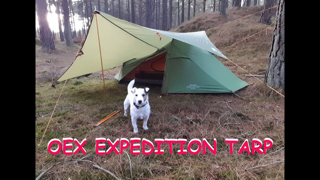 Stealth Camping While Forestry Commission Tear Down Trees - YouTube