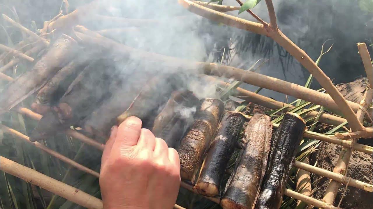 AMAZING! HOW TO SMOKE EELS | CATCH COOK EEL | Primitive Way - YouTube