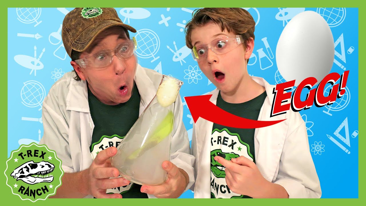 T-Rex Ranch Science for Kids! Fun Educational DIY Science Experiment ...