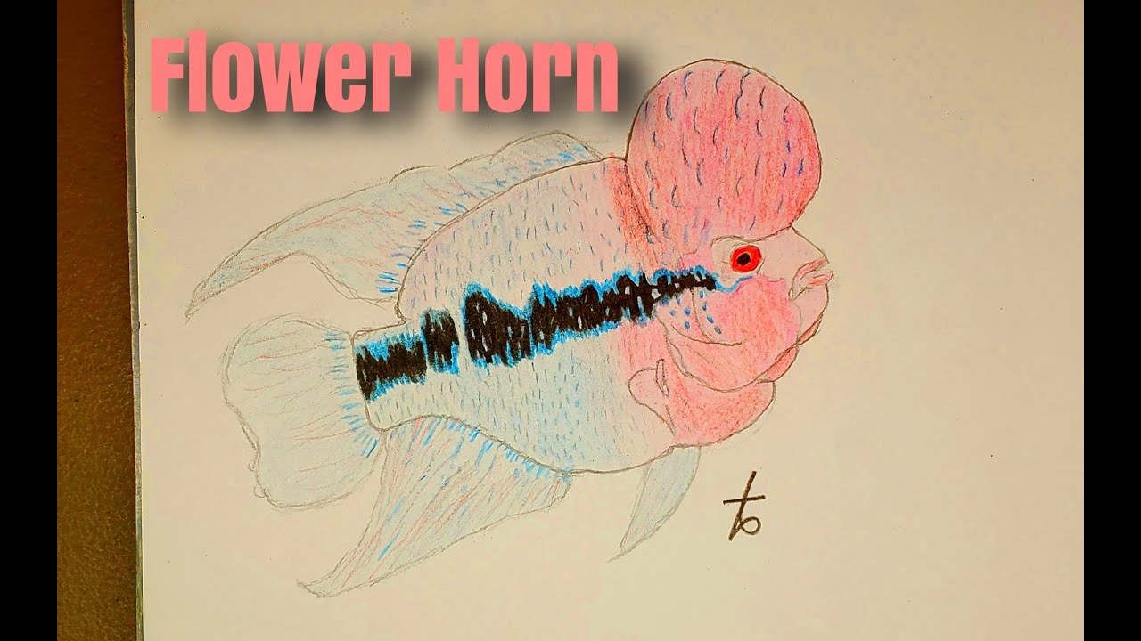 How to Draw a Flower Horn - YouTube