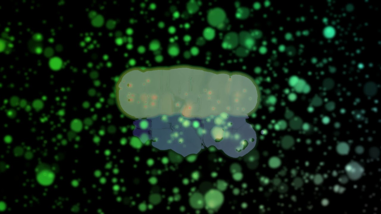 Linus Loves feat Stevie Nicks Stand Back - YouTube