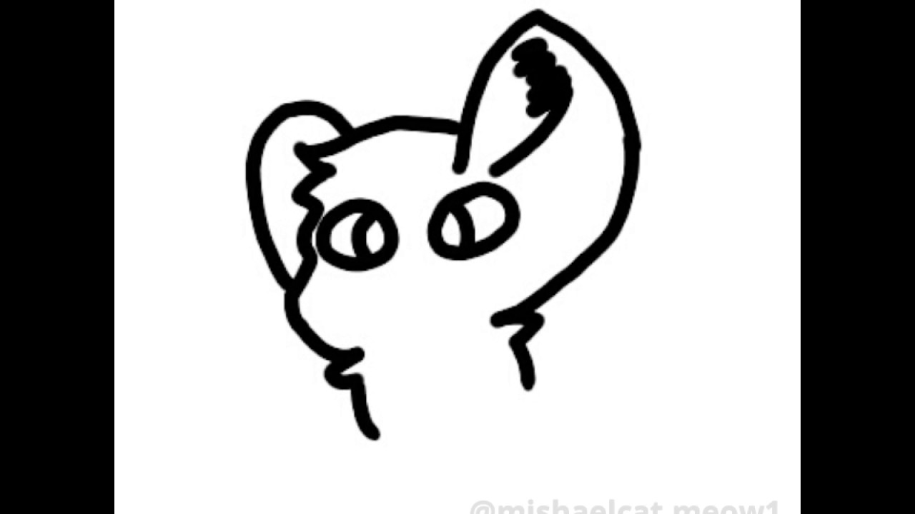 Blushing cat - YouTube