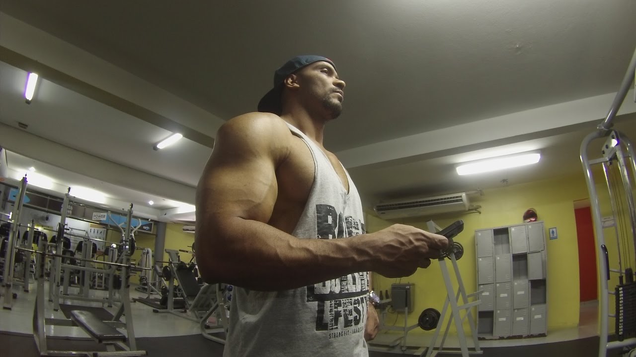 BICEPS - TRIDIMENSIONAL - Y3T - YouTube