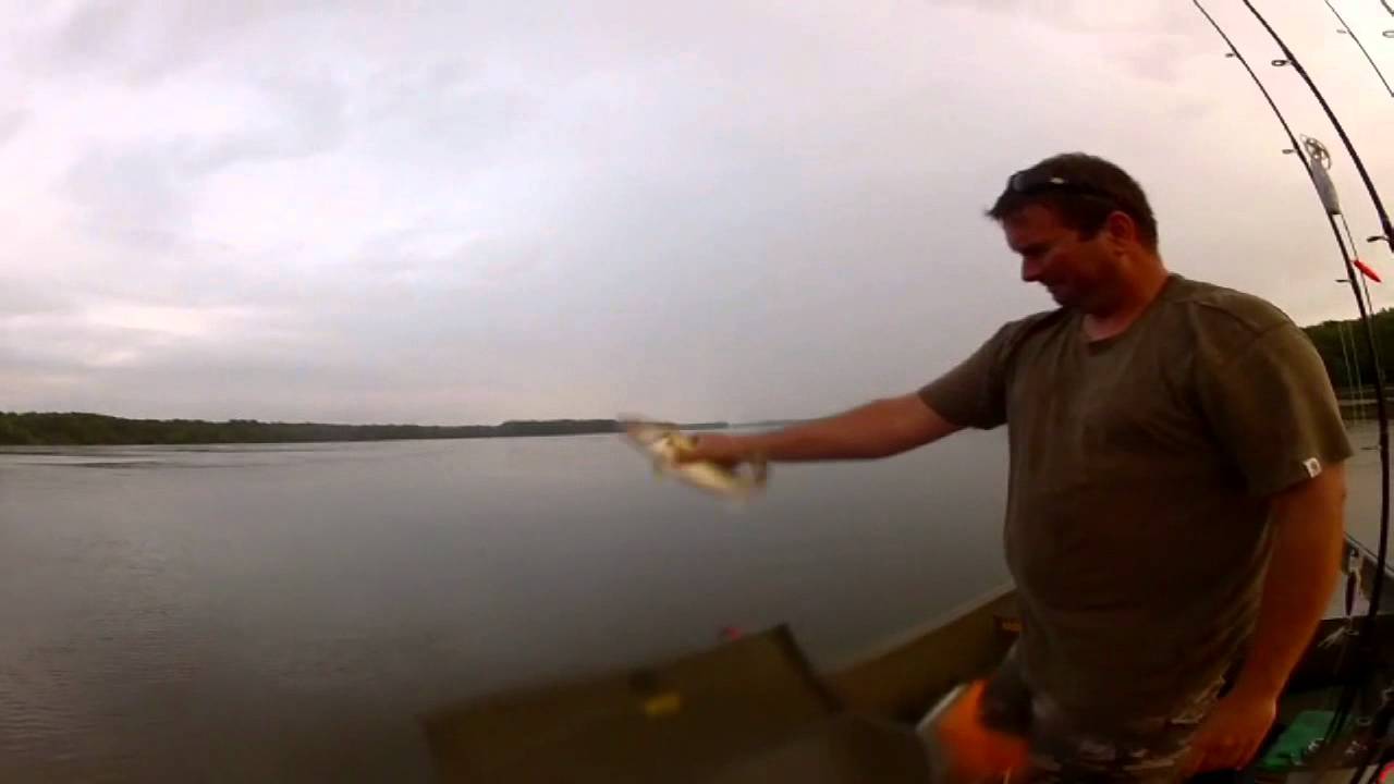 Man trying to hold Walleye - YouTube