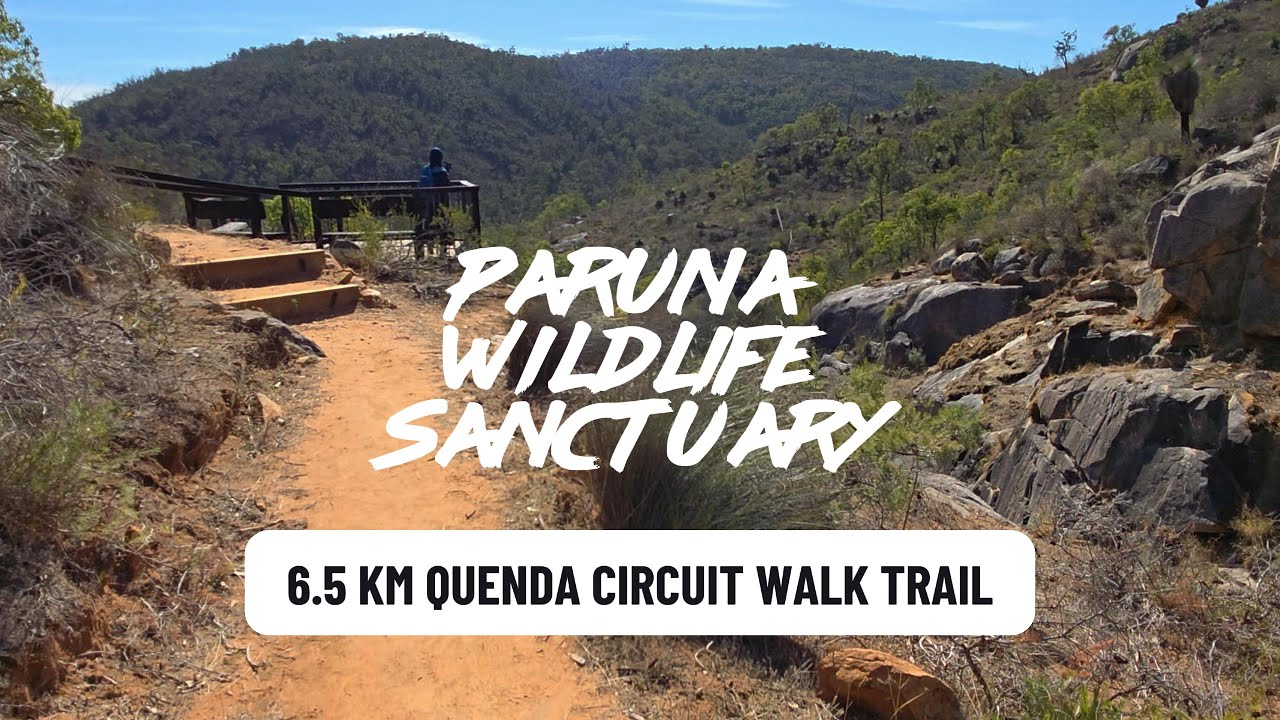 Paruna Wildlife Sanctuary - Quenda Circuit Walk Trail - YouTube