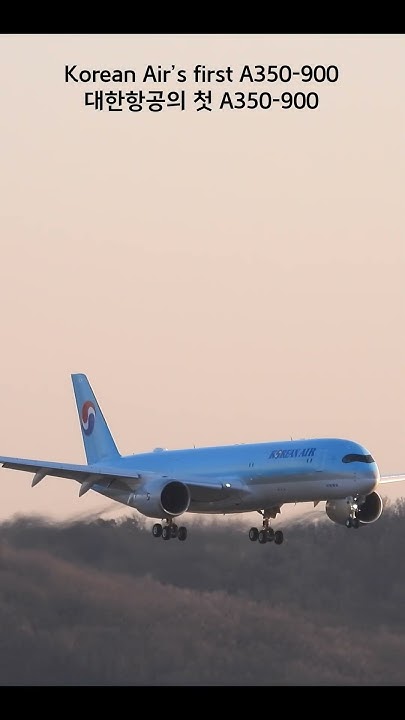 Korean Air first A350 대한항공의 첫 A350...#planespotting #airplane #aircraft #a350 #koreanair #대한항공 ...