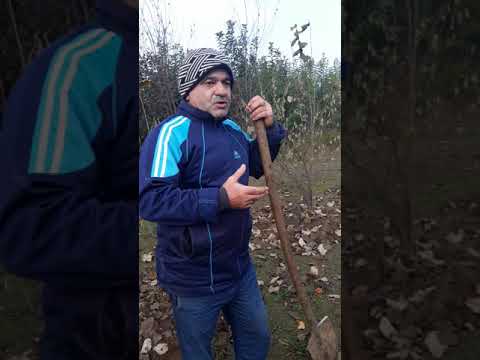 Lenkaran yol tikinti.ezbadinaliq.fasiıesiz narahatıiq.yuxari nuvedi