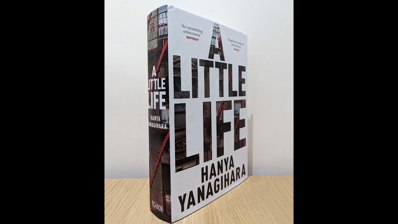 Plot summary, “A Little Life” by Hanya Yanagihara in 5 Minutes - Book ...