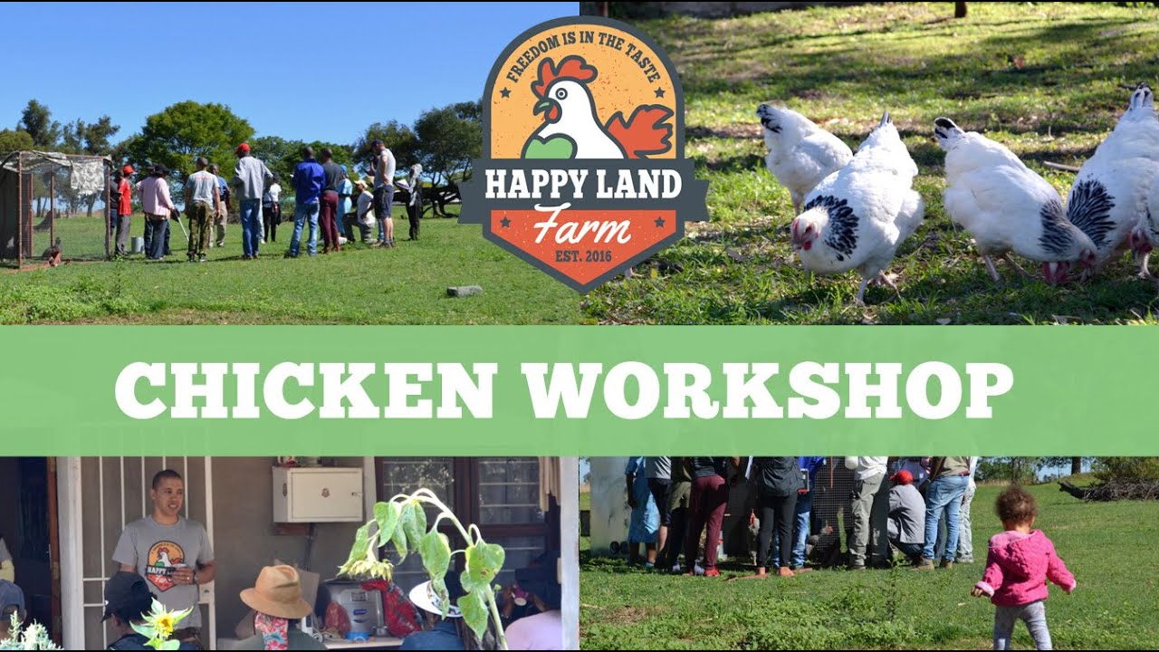 Happy chicken Farming Workshop November 2019 | Happy Land Farm - YouTube
