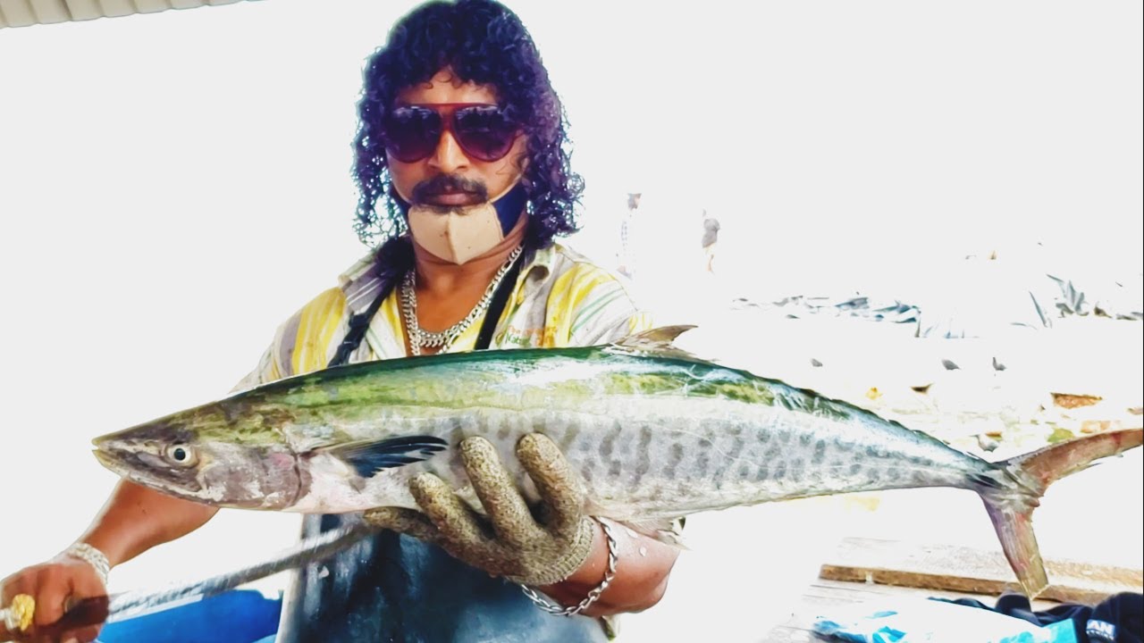 Perfect And Fast Seer Fish Slicing | Fish Experts Sri Lanka - YouTube