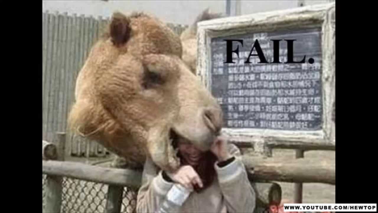 50 Epic Fail Pictures you will Enjoy - 5 - YouTube