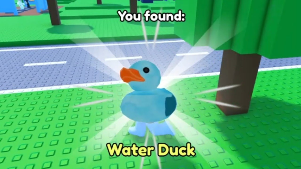 Find the Ducks - Where to Find the Water Duck (Roblox) - YouTube
